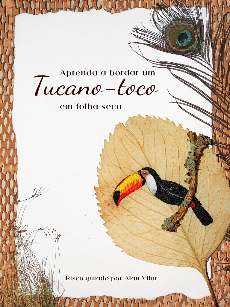 Risco+Guiado+Tucano Toco | PDF