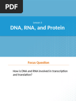 DNA vs. RNA and Protein Synthesis | PDF | Translation (Biology) | Rna