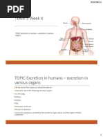 Module Excretory System | PDF | Human Body | Excretion