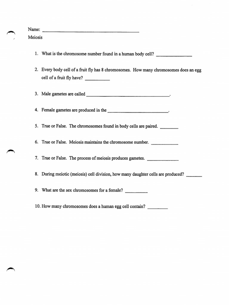 Meiosis Worksheets | PDF