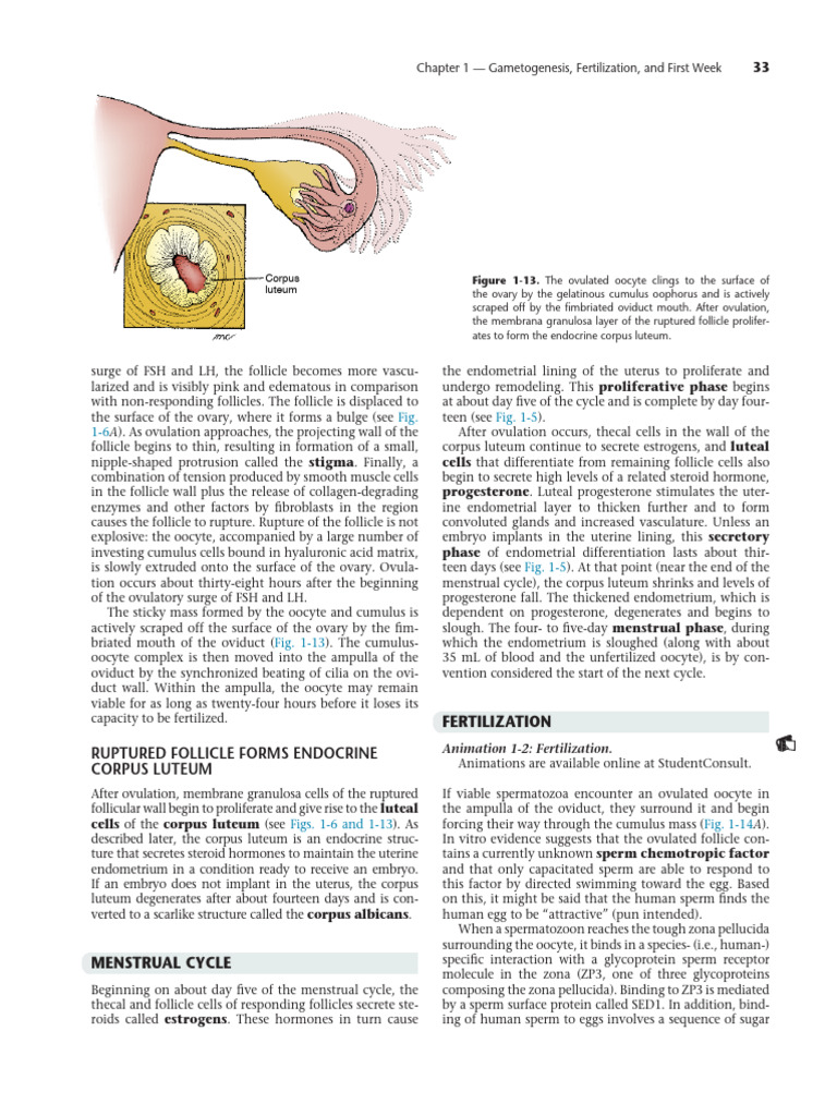 [3] Book Fertilization | PDF