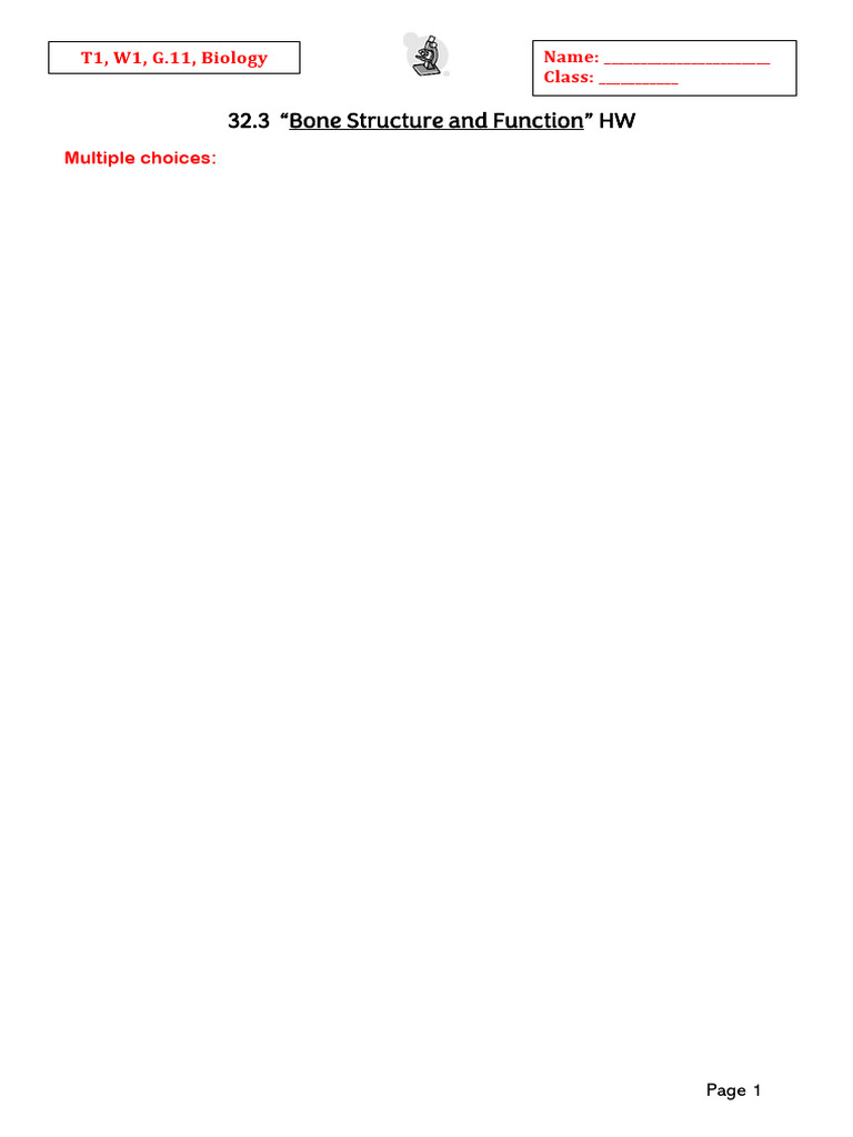 32.3 Bone Structure and Function - HW | PDF | Bone | Cartilage