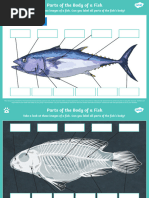 Parts of The Fish Nomenclature Cards - Handmade PDF | PDF | Aquatic ...