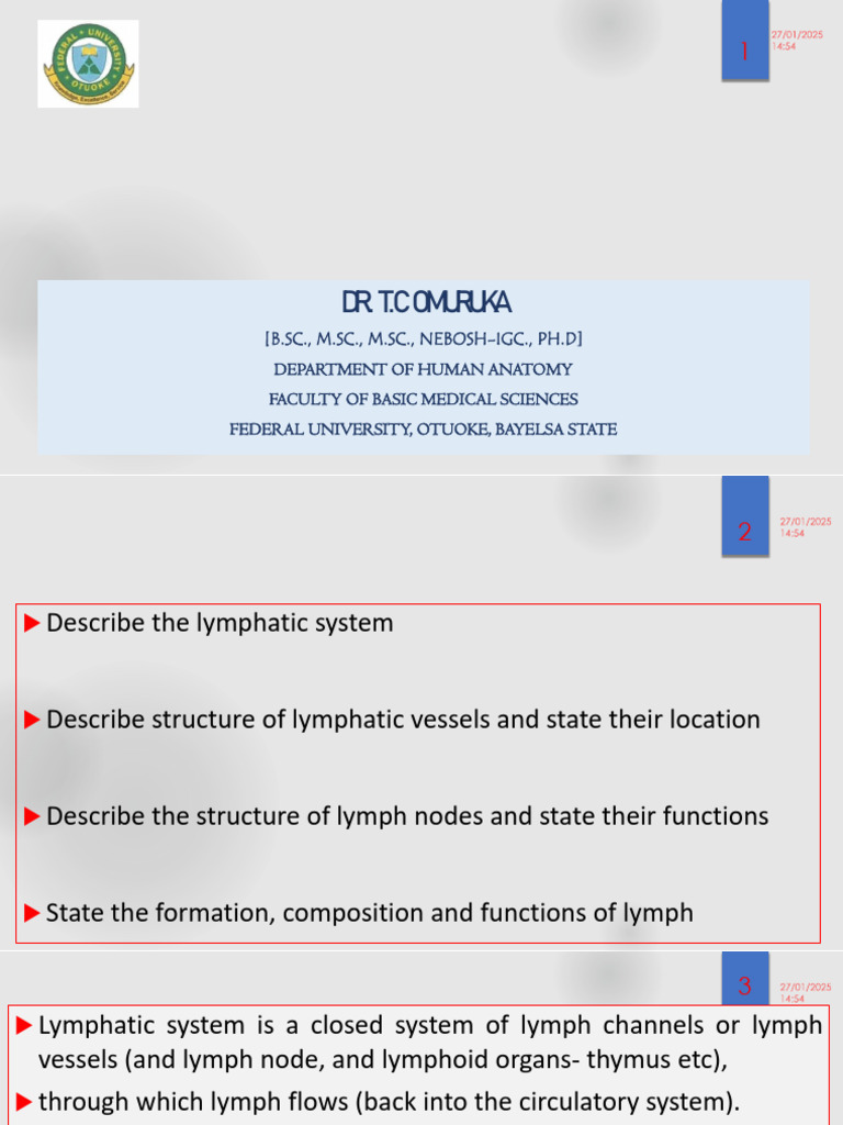 Lymphatic System Overview | PDF | Lymph | Lymph Node