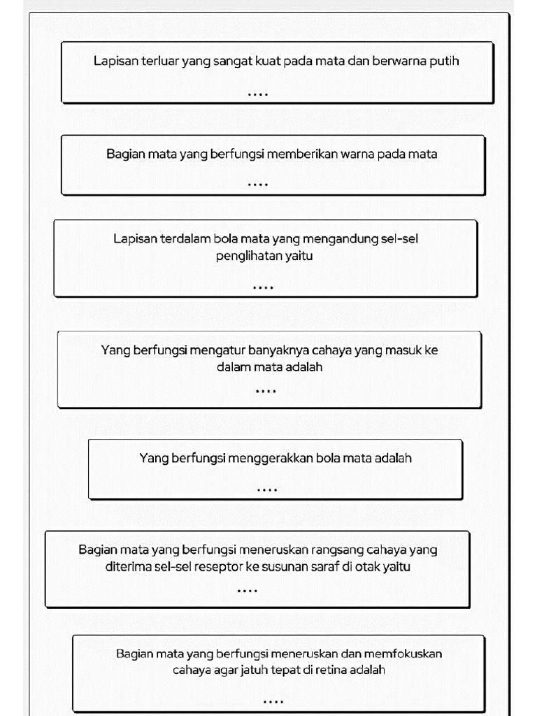 Fungsi Bagian Mata | PDF