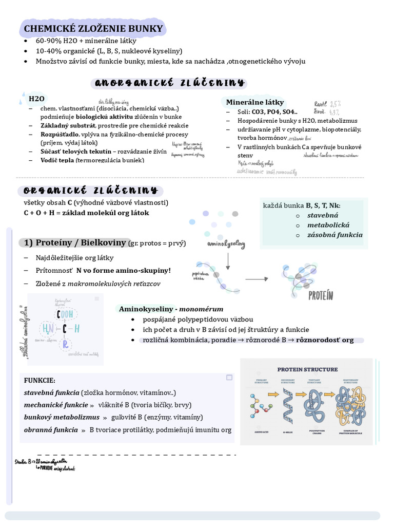 Chemické Zloženie Bunky | PDF