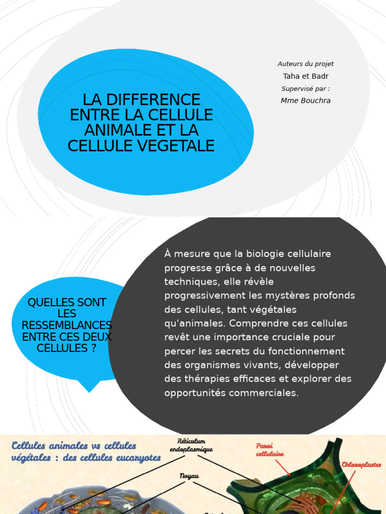 La Difference Entre La Cellule Animale Et La Vegetale | PDF | Cellule (Biologie) | Chloroplaste