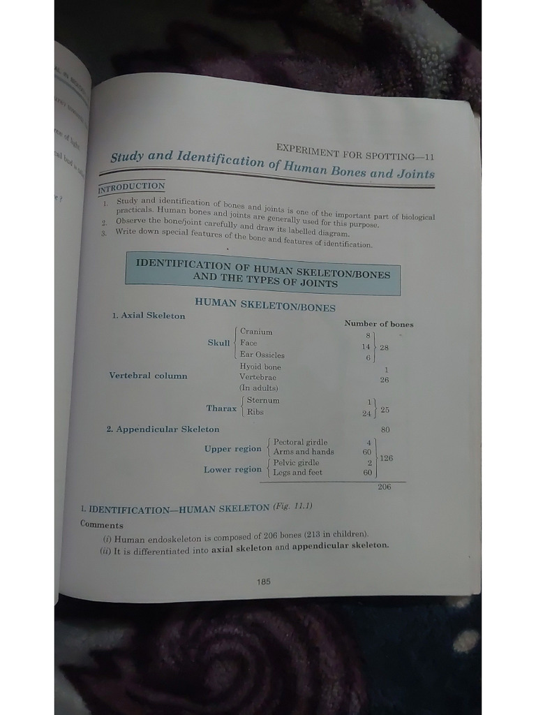 Study and Identification of Human Bones and Joints | PDF