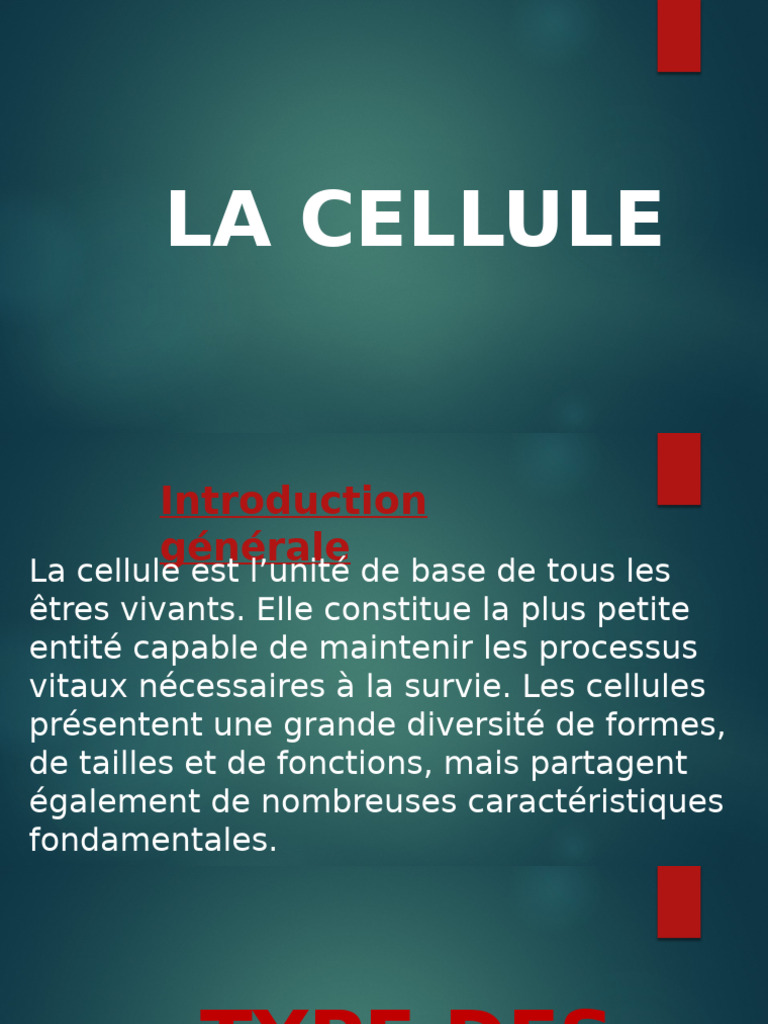 SVT Cellule | PDF | Cellule (Biologie) | Acide ribonucléique messager