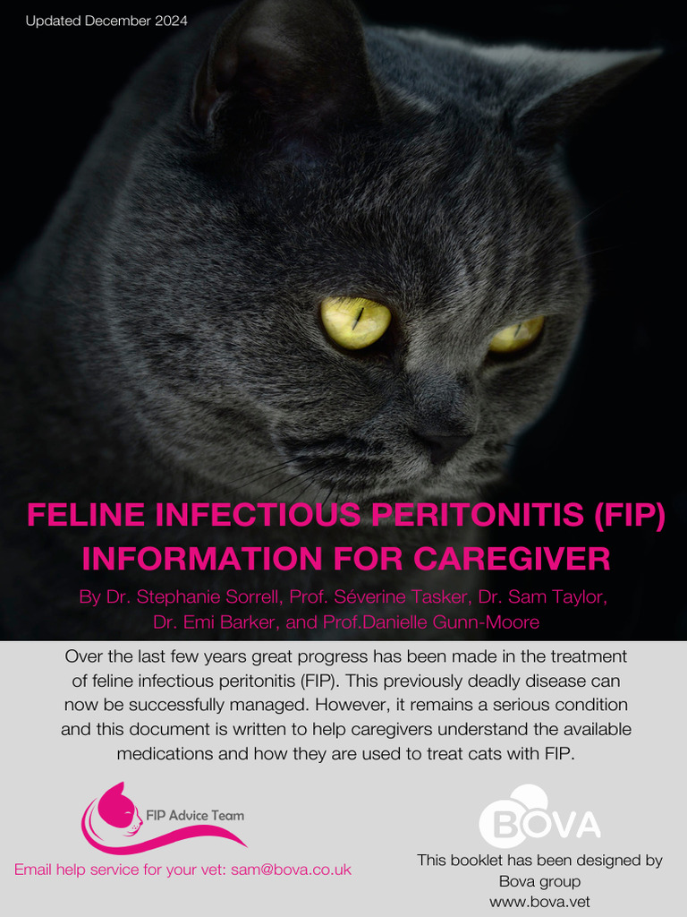 FIP Caregiver Brochure FINAL V3 December 2024 (A5) | PDF | Veterinary ...