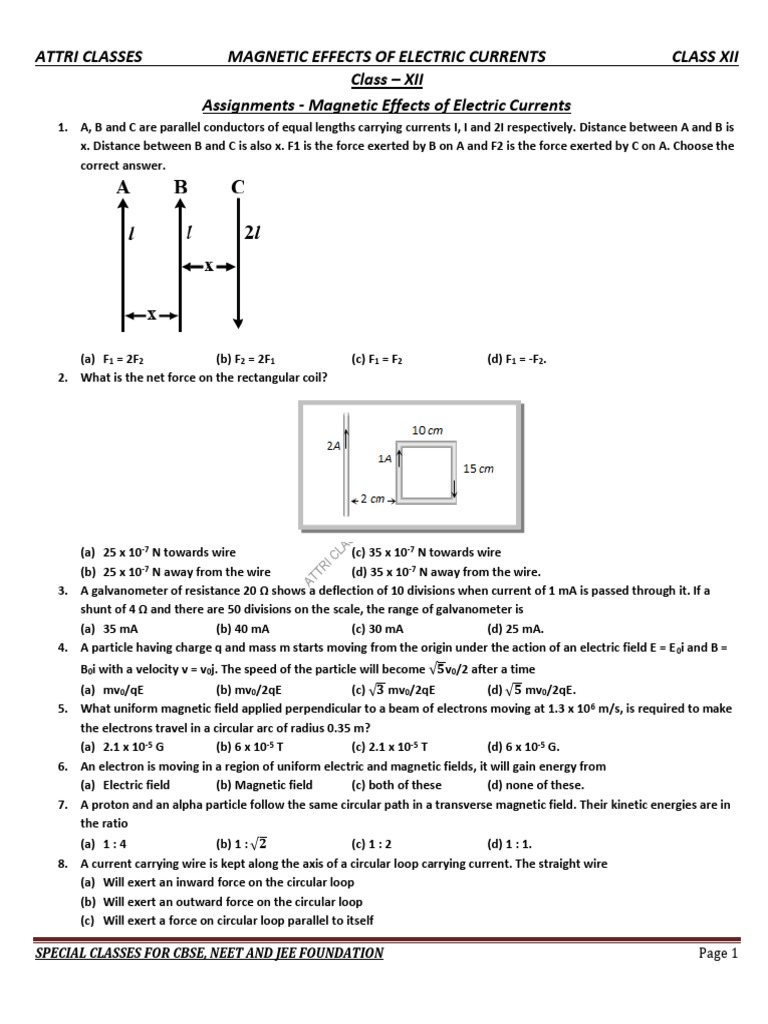 Assignments - Magnetic Effects of Electric Curent 11 | PDF | Magnetic Field | Electronvolt