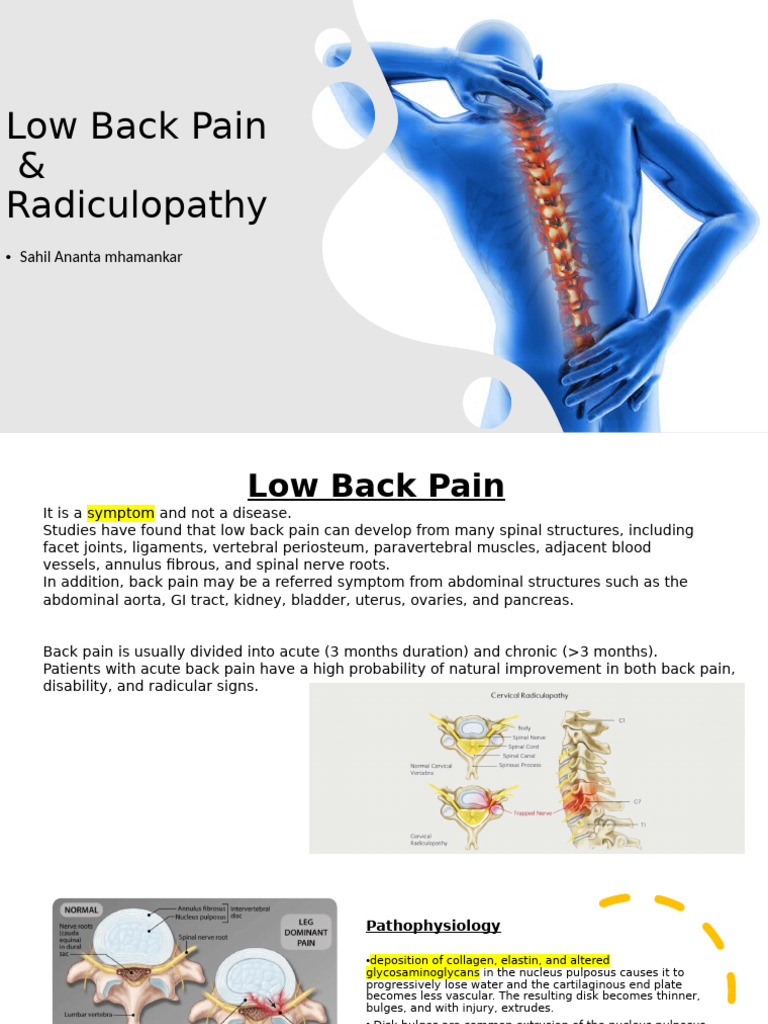 Low Back Pain.radicu | PDF | Back Pain | Clinical Medicine
