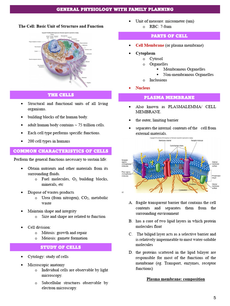 DPHY Lesson 2 Cell Physio Prelim | PDF | Cell Membrane | Mitosis