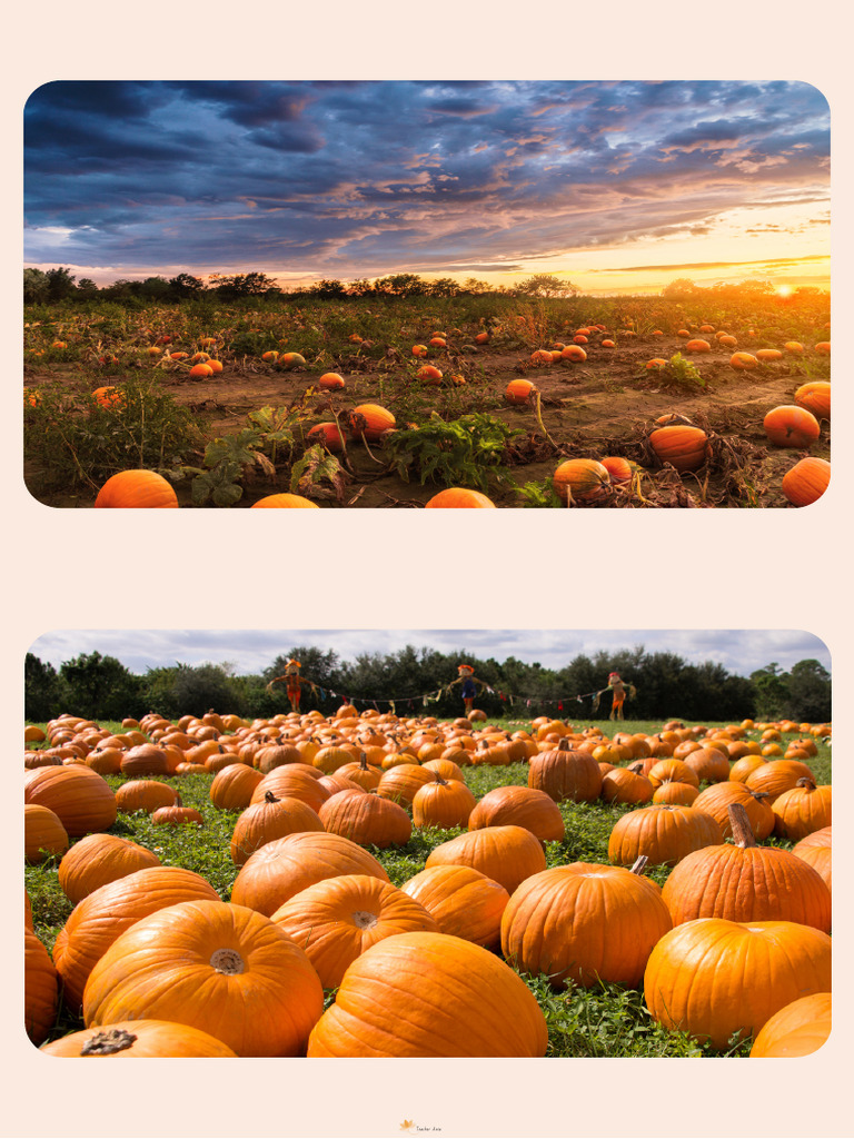 Dynie-karty-obrazkowe | PDF