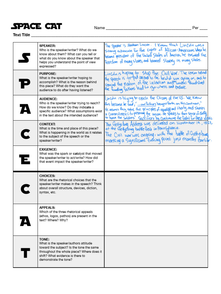 Spacecat Worksheet | PDF