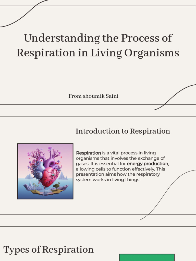 slidesgo-understanding-the-process-of-respiration-in-living-organisms ...