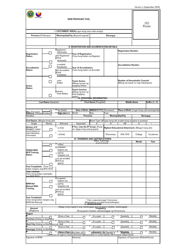 (BHW) Profiling Tool | PDF | Health Care