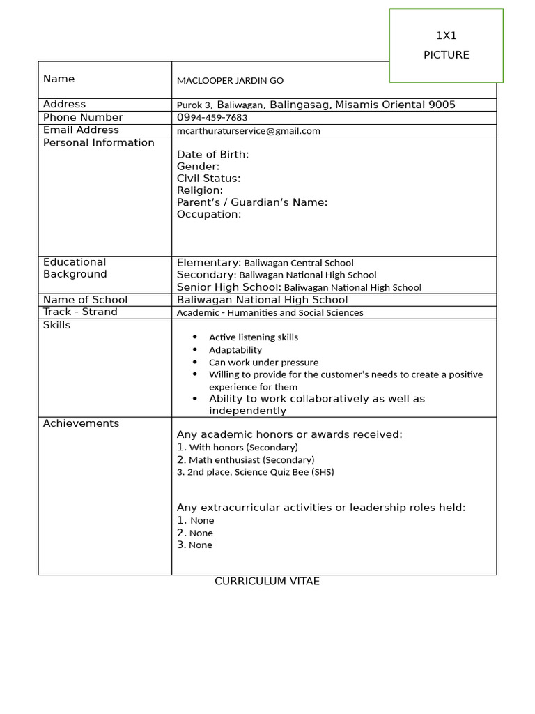 Curriculum Vitae Template PDF | PDF