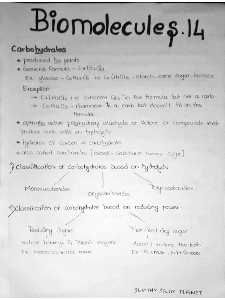Biomolecules Class 12 | PDF