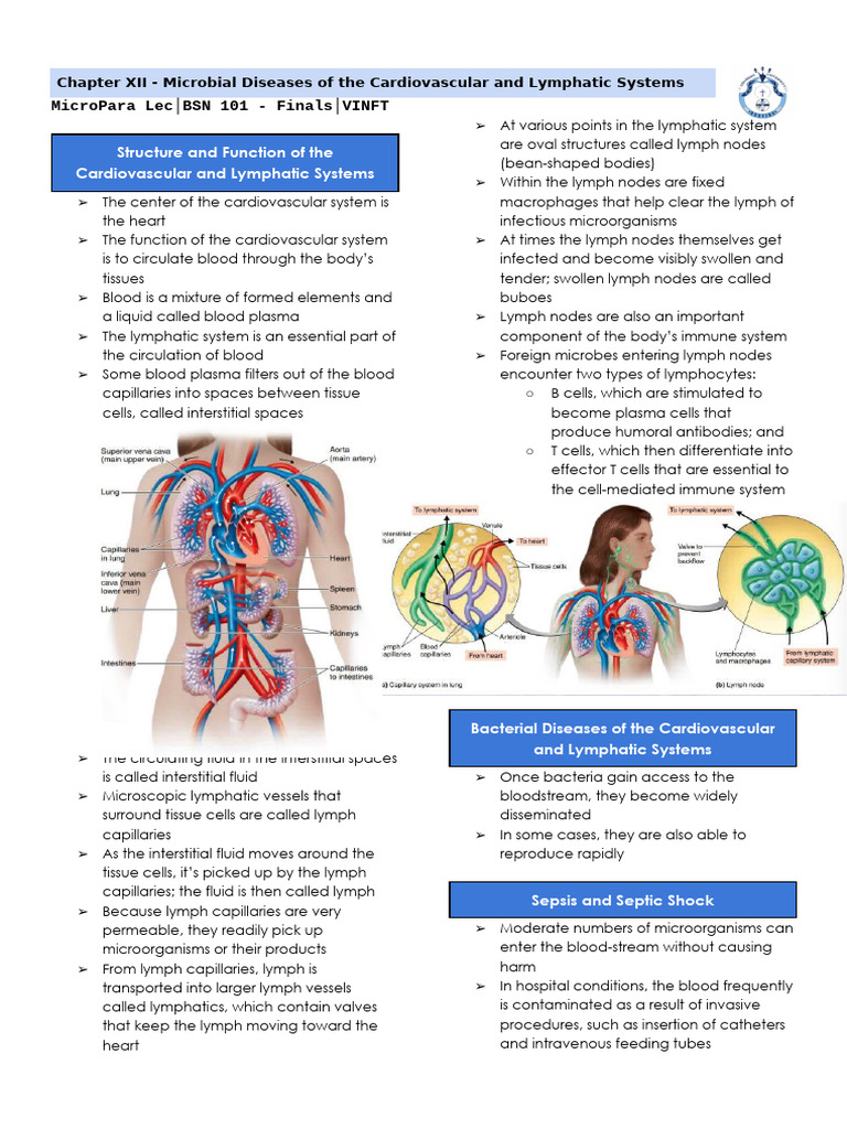 Microbial Diseases of Cardiovascular System | PDF | Anthrax | Lymph