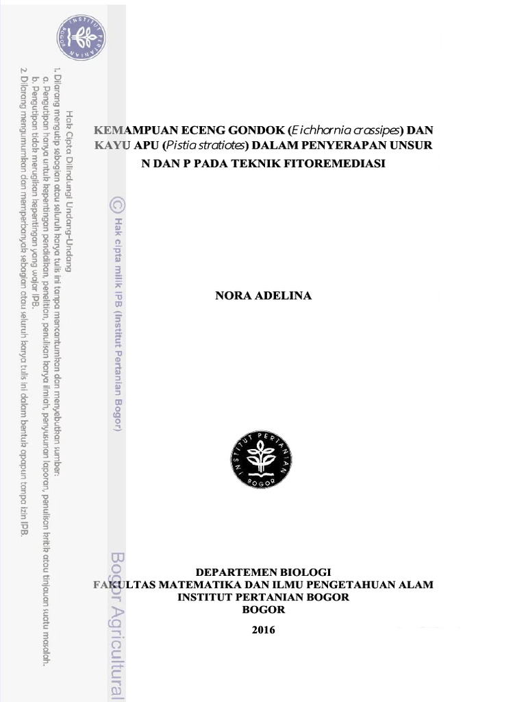 PDF Skripsi Ipb Eceng Gondok Nyerap N Dan P Compress | PDF