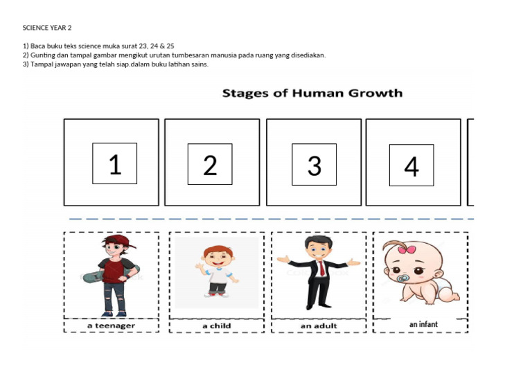 Science Year 2 | PDF