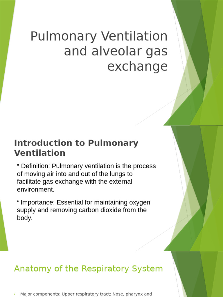 Pulmonary Ventilation and Alveolar Gas Exchange | PDF | Exhalation | Lung