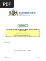 FDA Form 2579 | PDF | Ct Scan | X Ray