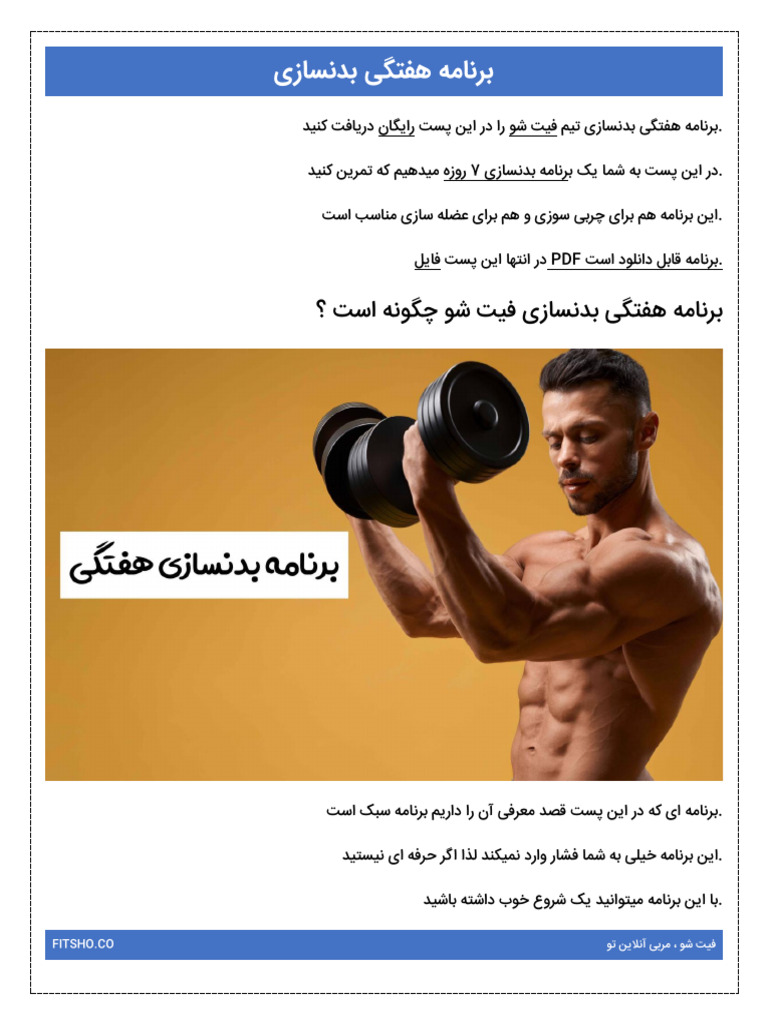 Fitsho Article 4 | PDF