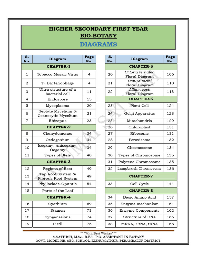 11th Bio-Botany (Diagrams) | PDF | Plant Stem | Cell (Biology)