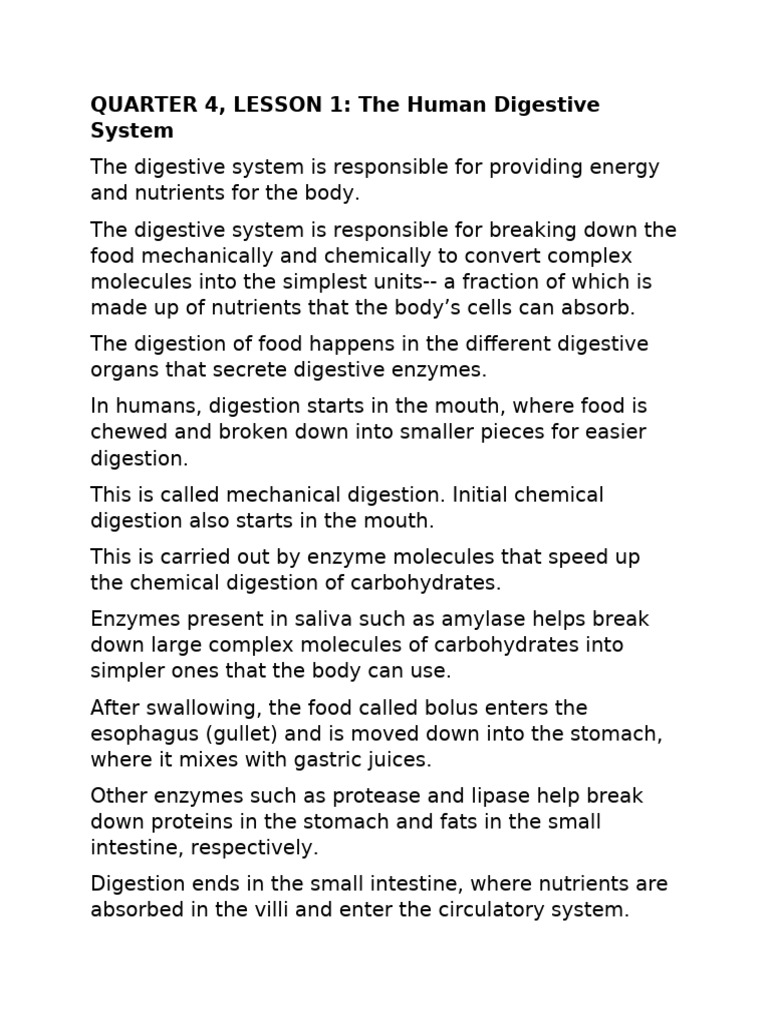 The Human Digestive System | PDF | Digestion | Human Digestive System