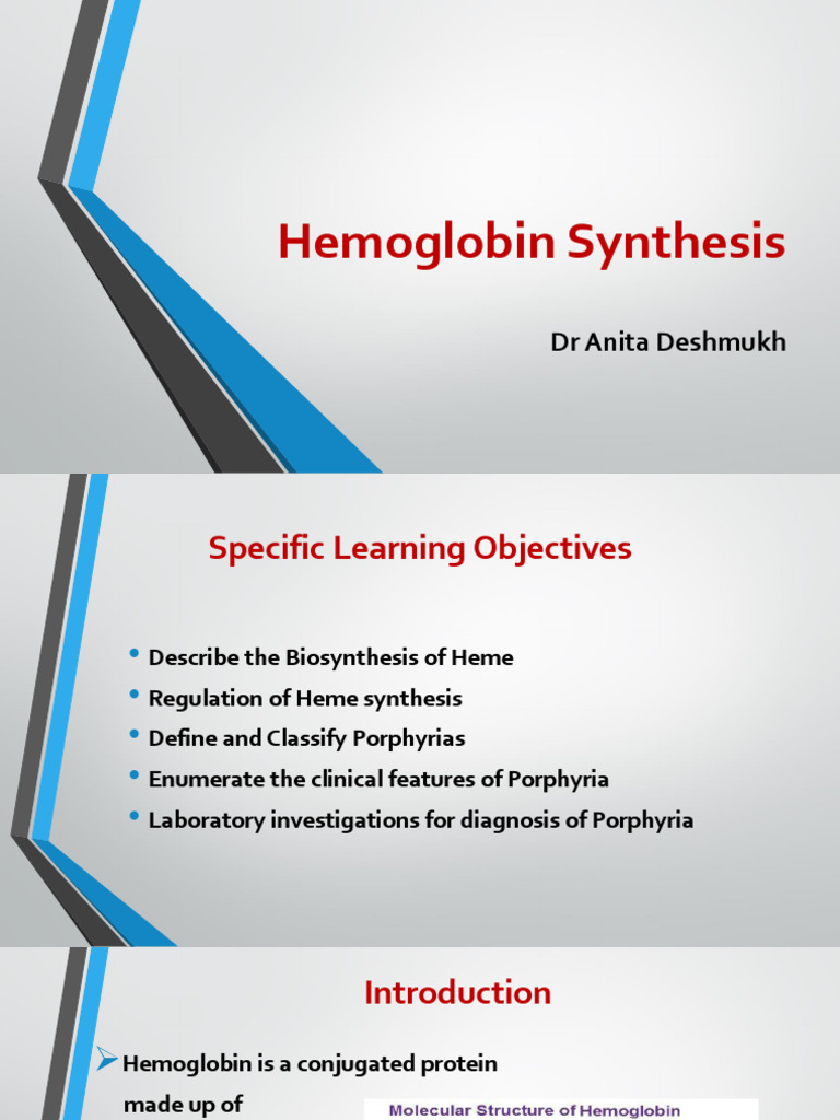 Hemoglobin Synthesis (MBBS) | PDF | Mitochondrion