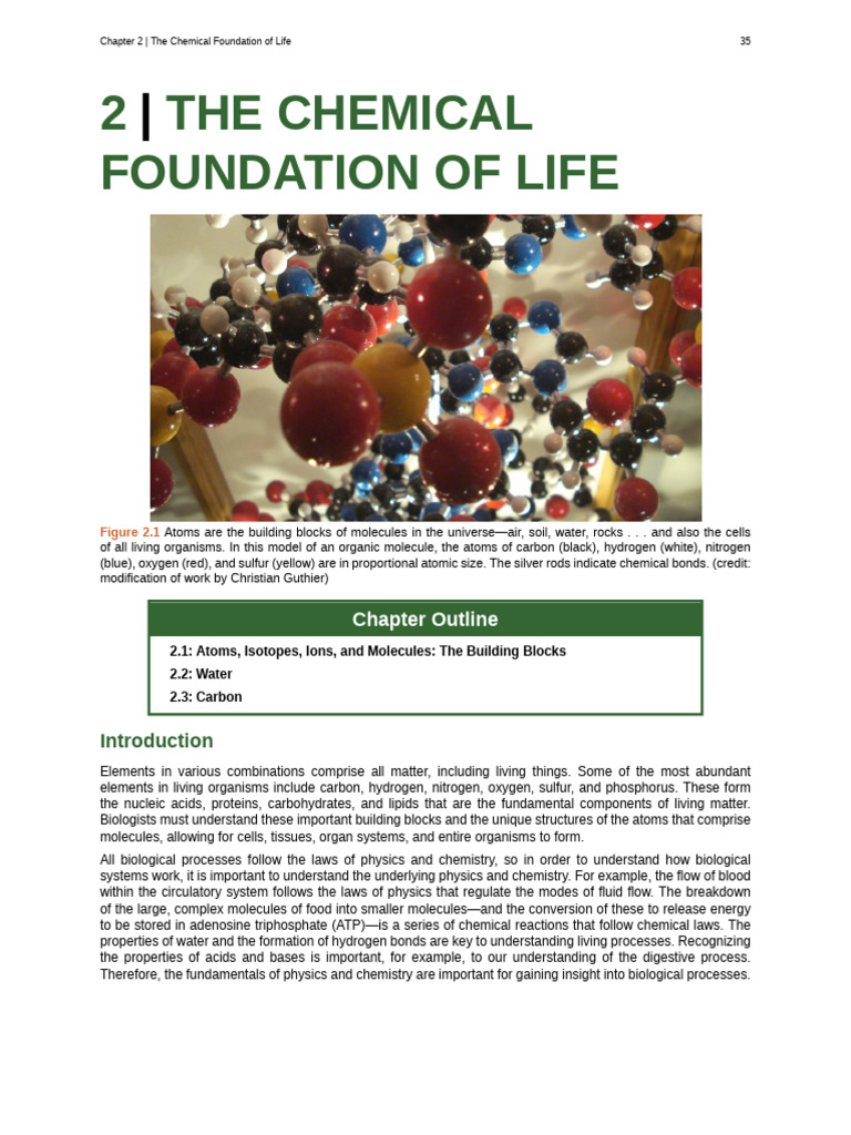 Chemical Foundations of Life Explained | PDF | Ion | Atomic Orbital