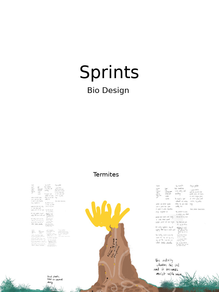 Tilted on axis Presentation | PDF