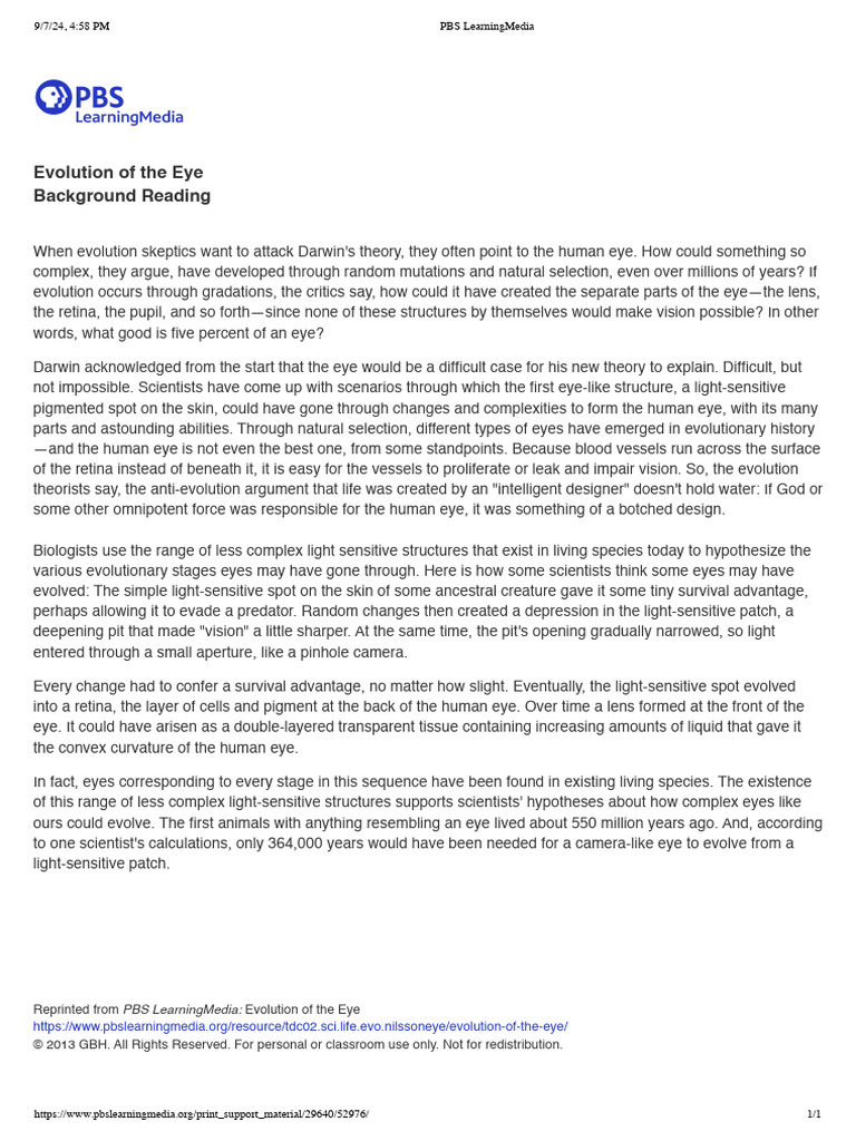 Human Eye Evolution Explained | PDF | Eye | Evolution