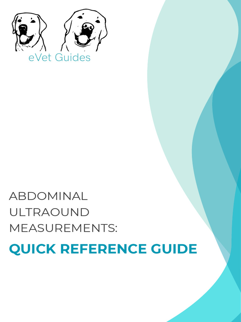 Abdominal Ultrasound Quick Measurement Reference Guide | PDF