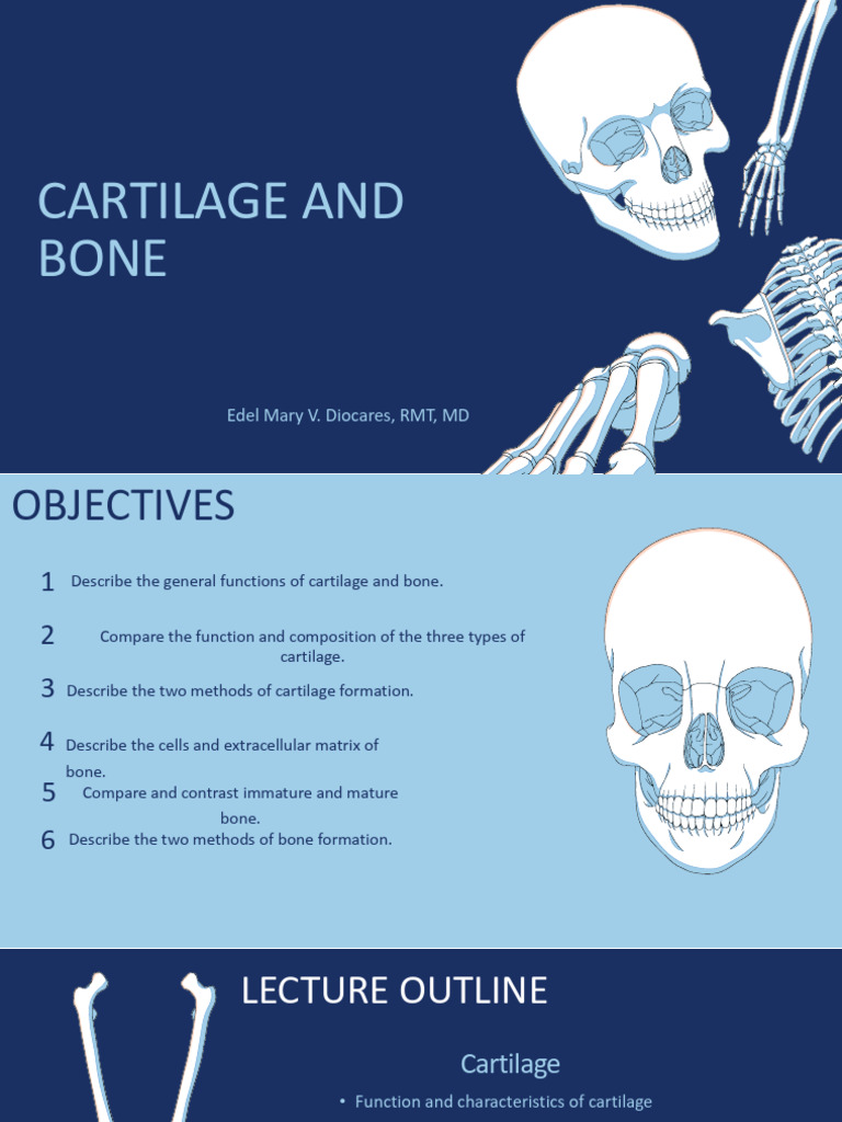 Chapter 7 Bone and Cartilage | PDF | Bone | Cartilage
