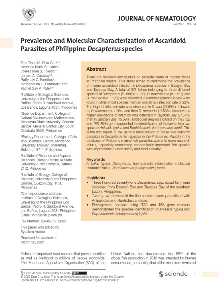 Prevalence and Molecular Characterization of Ascar | PDF | Gel Electrophoresis | Polymerase ...