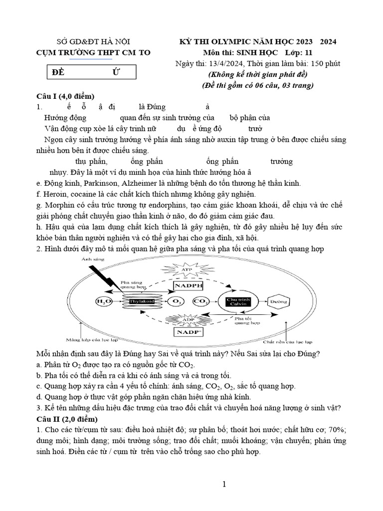 ĐỀ HSG SINH 11 | PDF