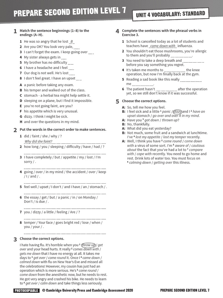PREPARE 7 Vocabulary Standard Unit 04 | PDF
