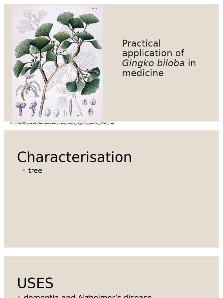 Ginkgo Biloba: Medical Uses and Risks | PDF