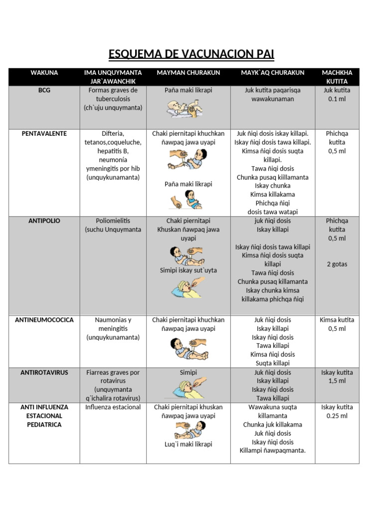 Esquema de Vacunacion Pai | PDF | Human Diseases And Disorders | Diseases And Disorders