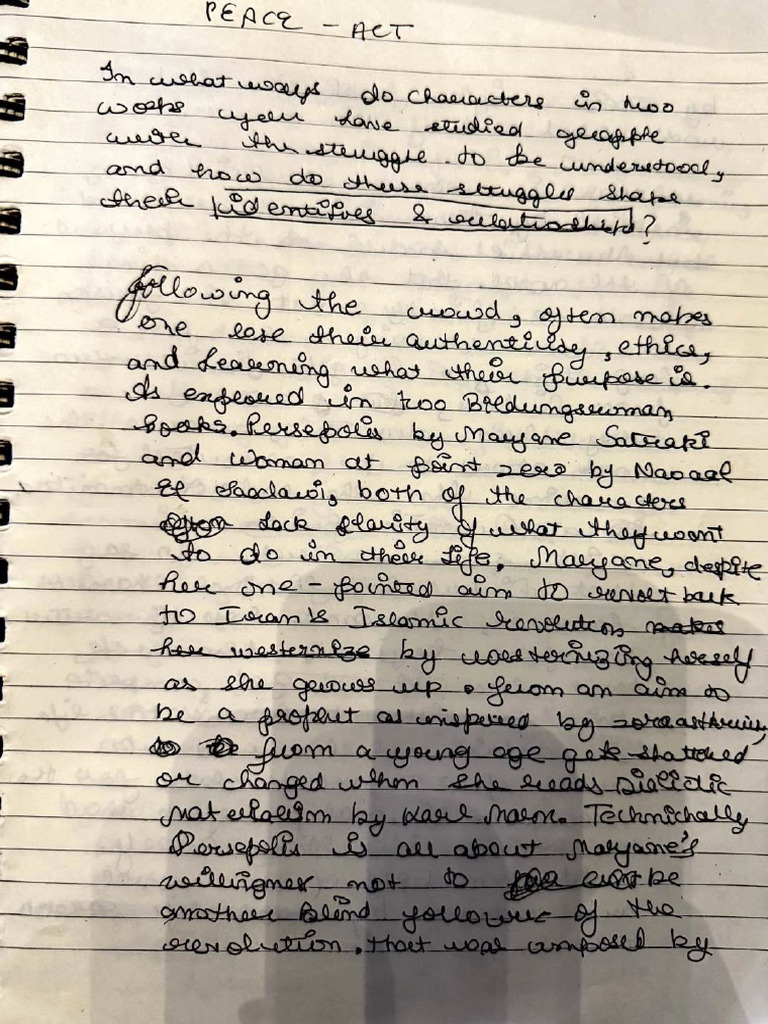 Paper2 Practice -PEACE ACT-compressed | PDF