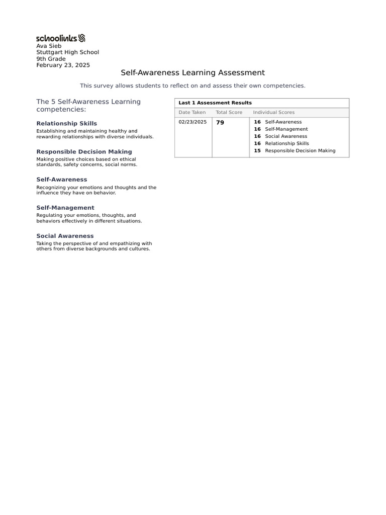 Sel Reportb | PDF