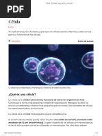 Mapa conceptual de la célula | PDF | Citoplasma | Biología Celular)