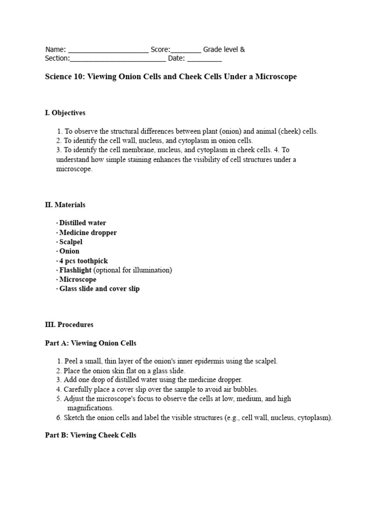 Viewing Onion Cells and Cheek Cells Under A Microscope | PDF ...