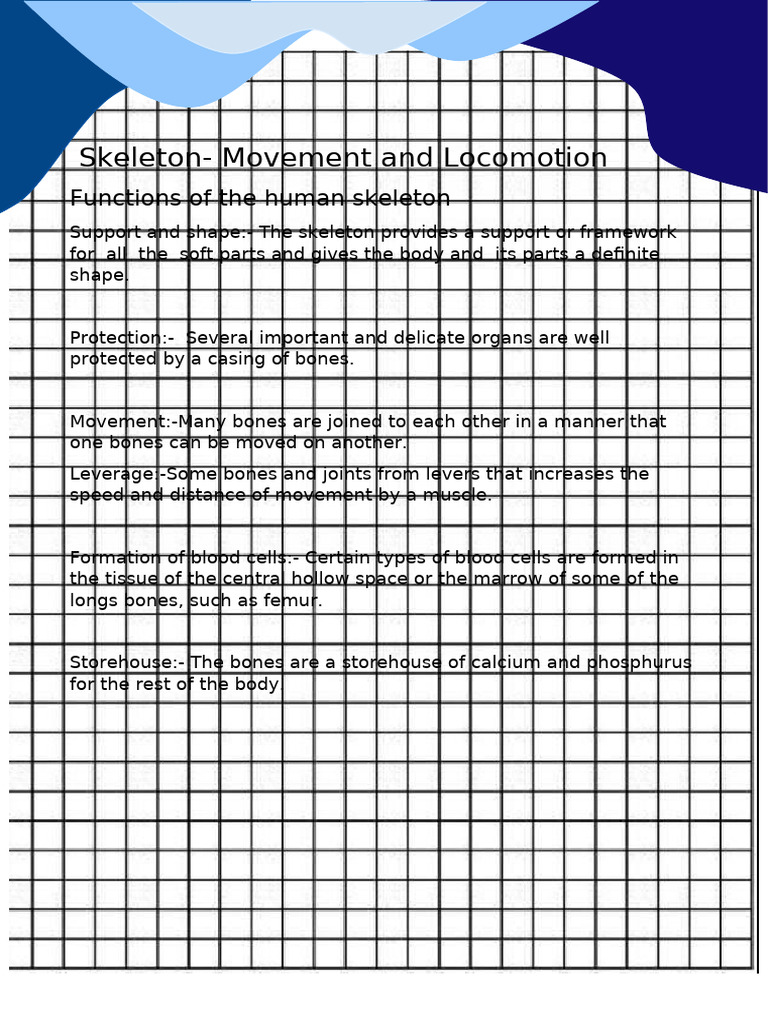 Human Skeleton: Functions & Roles | PDF