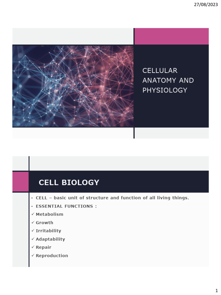 Radiobiology (Cellular anatomy and physiology) | PDF | Mitosis | Rna