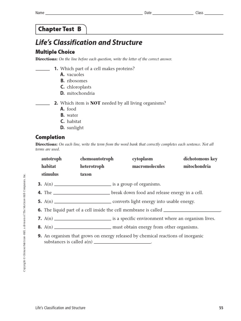 Classifying Organisms Overview - 61-62 | PDF | Cell (Biology) | Prokaryote