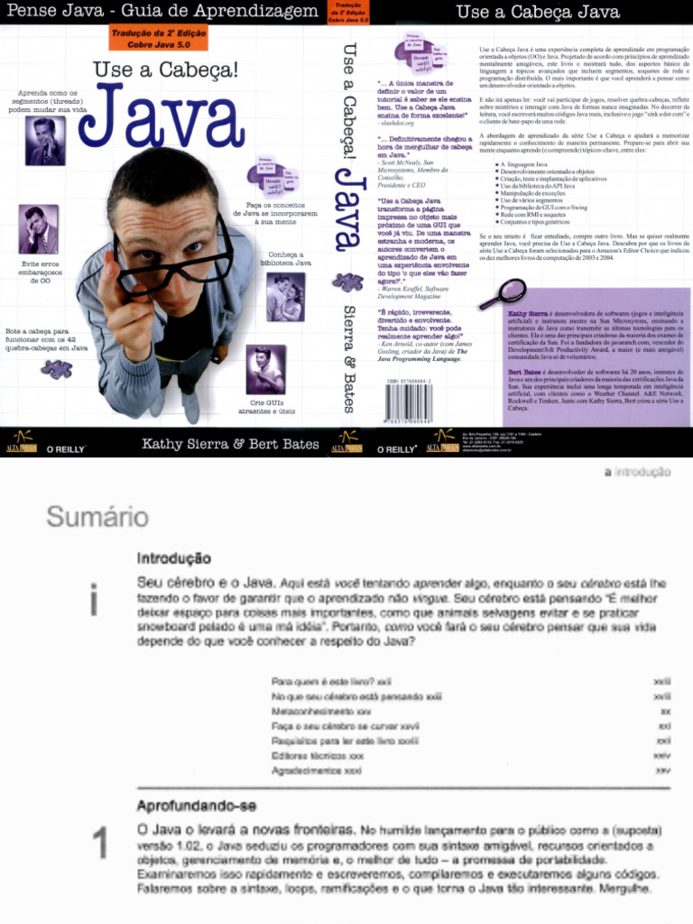 Java Loop and Conditional Logic Example | PDF